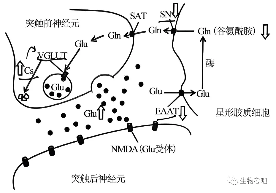 2023年高考生物押题之命题猜想（全国乙卷03）